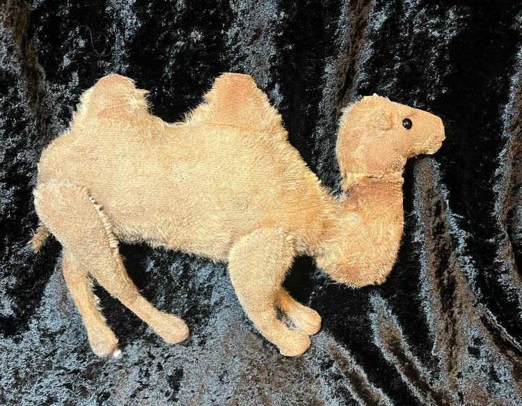 NoNo - The 113 year old Camel – Davey Bears